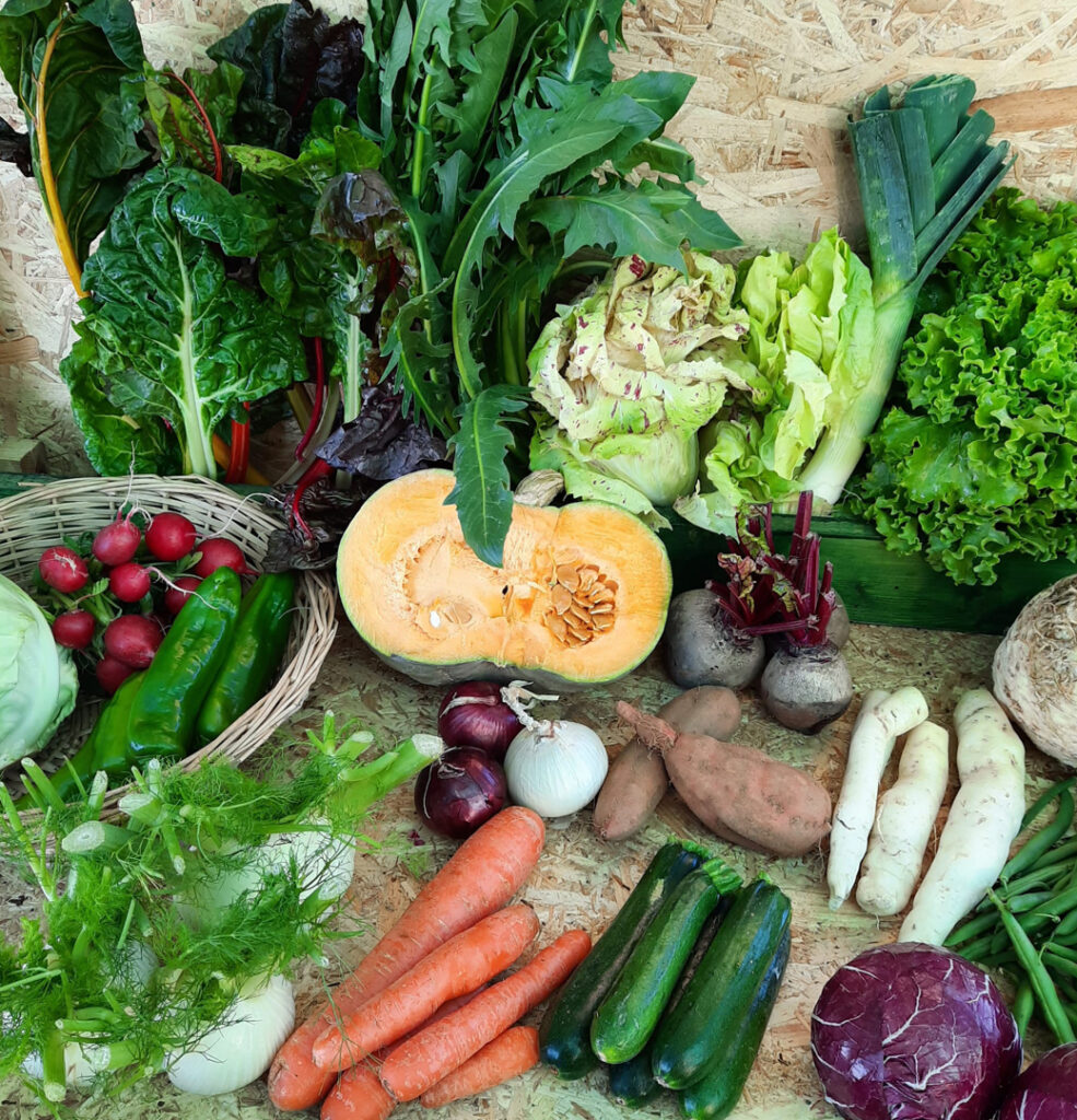 Prodotti della scorsa settimana - A regola D'Orto